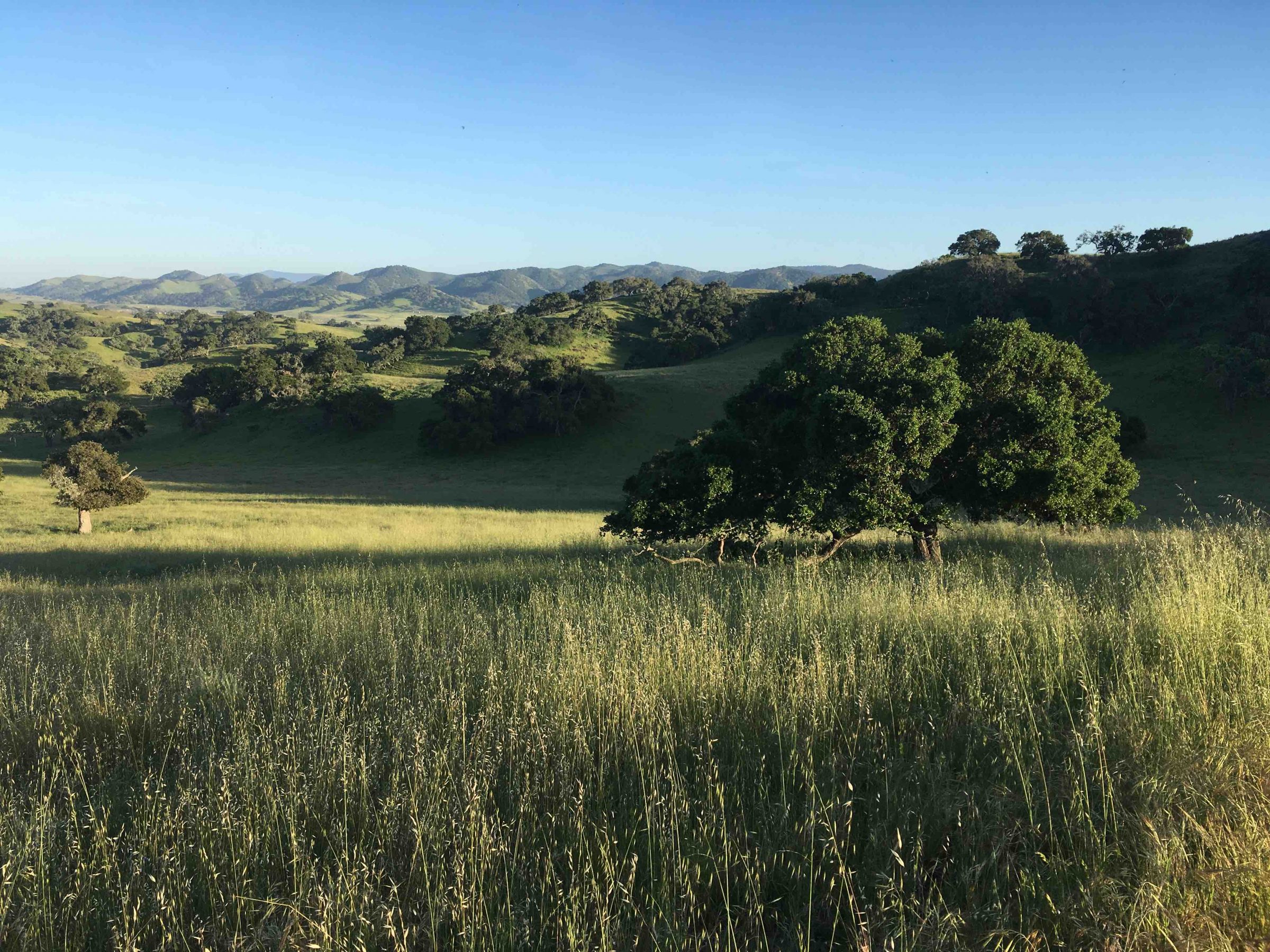 Facilities – Cottonwood Ranch